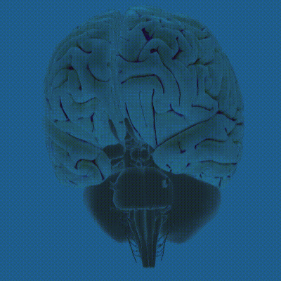 What Are Phobias and How Are They Treated?