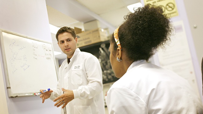 Global Prevalence of Diseases and Disorders