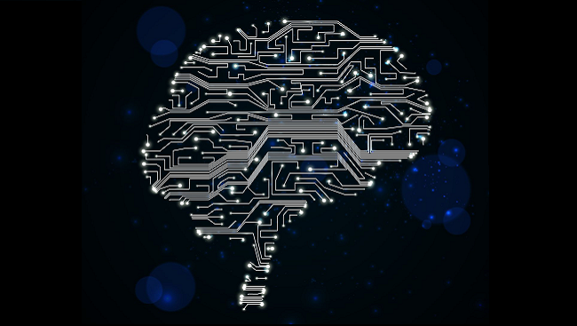 Designing Brain-Based Robots