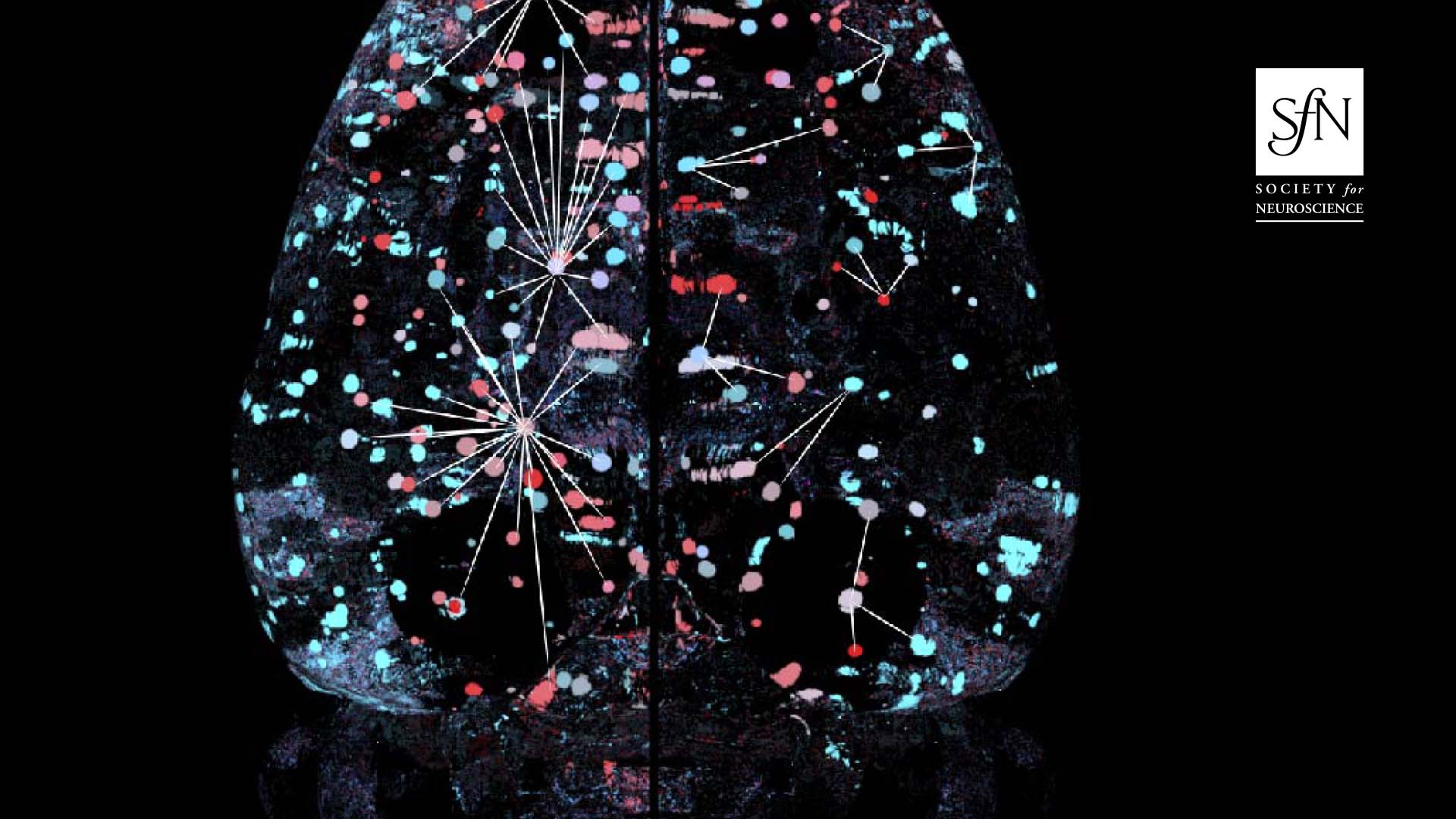 Society for Neuroscience - Zoom Backgrounds